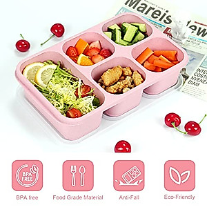 Nuoqiuu 6 Pcs Bento Snack Containers, 5-Compartment Lunchable Containers, Reusable Meal Prep Container for Kids, Snack Storage Boxes for Toddler School