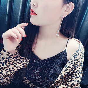 Crystal Butterfly Pendant Tassel Earrings Long Zircon Butterfly Drop Dangle Earrings Jewelry for Women Butterfly Earring (Silvr)