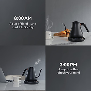 Mecity Electric Gooseneck Kettle With LCD Display Automatic Shut Off Coffee Kettle Temperature Control Hot Water Boiler Pour Over Tea Kettle 1200 Watt Quick Heating Electric Tea Pot, 0.8L, Matt Black