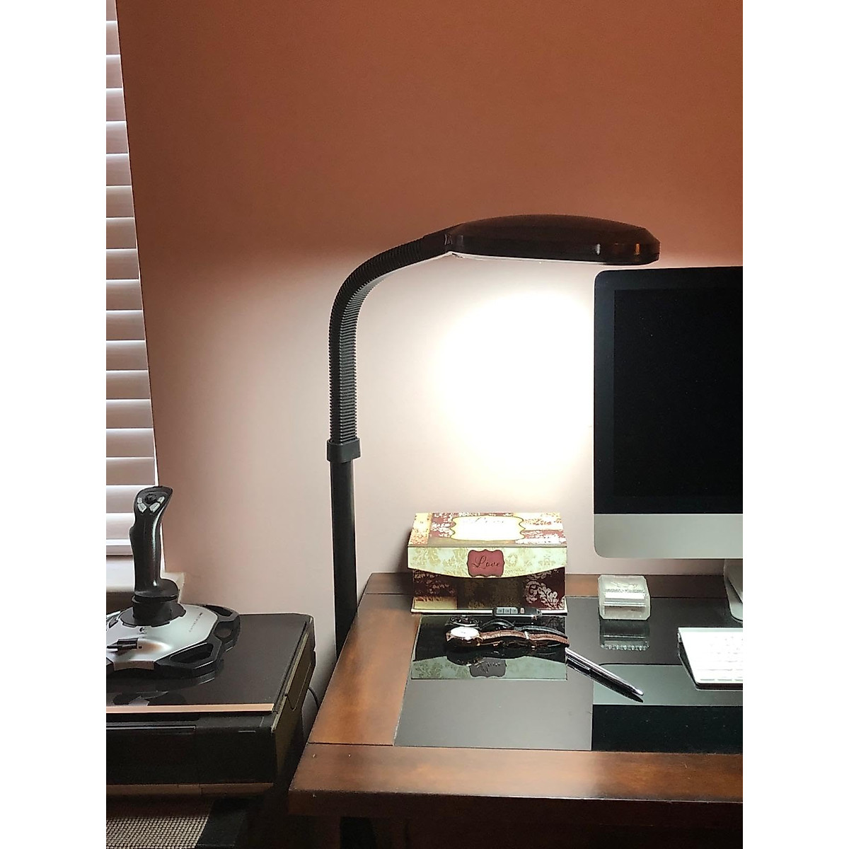 Brightech Litespan - Bright LED Floor Lamp for Crafts and Reading, Estheticians' Light for Lash Extensions, Adjustable Gooseneck Standing Lamp for Living Room, Bedroom and Office - Jet Black