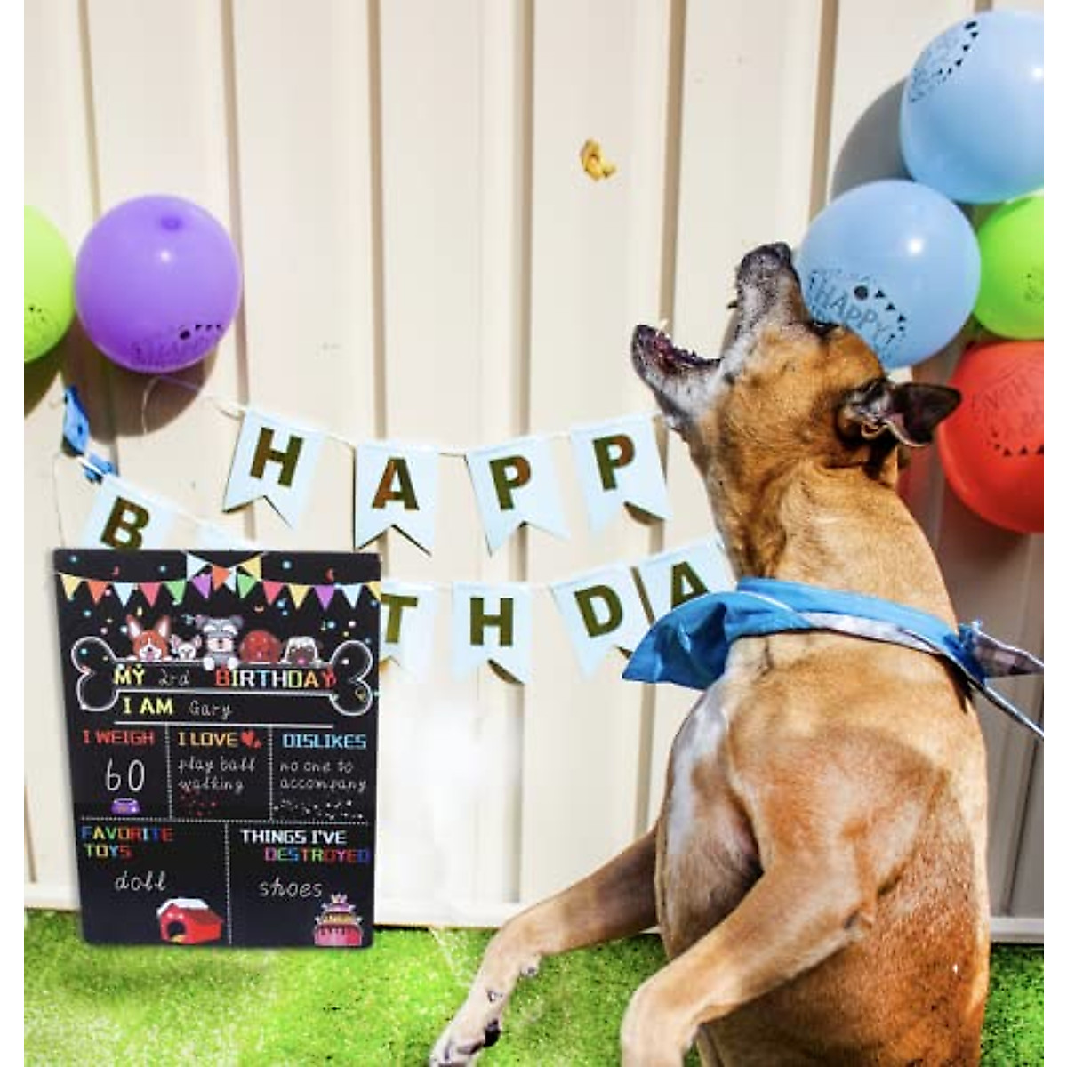 Reusable Dog Birthday Party Supplies, Double Sided Chalkboard for Dog Girl First Birthday, Dog Birthday Backdrop Props, Gift for Cat Party Decorations, Size 10"*12"