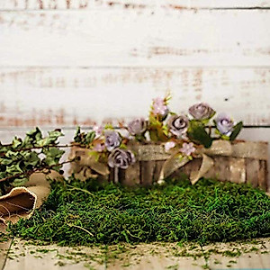 Farmoo Fake Moss for Crafts, Artificial Green Moss for Potted Plants Centerpieces Decor (3.5OZ)