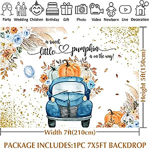 Avezano Blue Pumpkin Baby Shower Backdrop for Boy Boho Fall Baby Shower Decorations Little Pumpkin Truck Banner Thanksgiving Autumn Newborn Baby Shower Party Background(7x5ft)