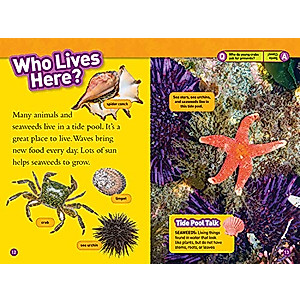 Tide Pools (National Geographic Kids Readers, Level 1)