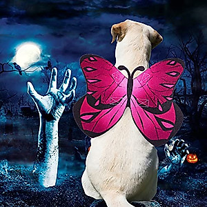 Butterfly Wings for Dogs Halloween Costumes for Dogs, Dog Cat Butterfly Wings Butterfly Dog Costume for Halloween Christmas, Butterfly Wings for Cat Dog Wings for Small Medium Large Dogs