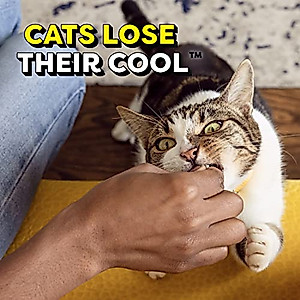 Temptations Tender Fills Roasted Chicken Flavor Crunchy and Soft Adult Cat Treats, 11.6 oz. Pouch