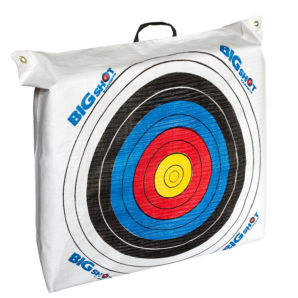 BIGSHOT Outdoor Range Field Point Bag Target