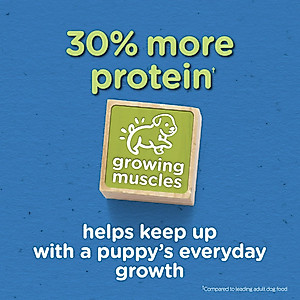 REUSSIR Complete Dry Dog Food, High Protein with Farm-Raised Real Chicken, 4 Lb Bag, 100% Complete & Balanced Diet