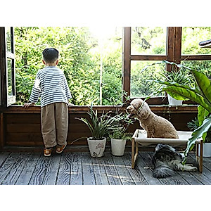 FUKUMARU Dog Bed, Large Breathable Cat Bed, Wooden Cat Hammock for Outdoor, 21 X 16.5 Inch Elevated Pet Furniture Suitable for Kitty, Puppy, Rabbit, Bunny and Small Animal