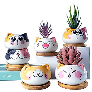 YINUOWEI Succulent Pots with Drainage 3.6 Inch Mini Cat Pots for Plants Tiny Animal Planter Small Ceramic Air Plant Flower Pots Cactus Faux Planters Containers with Bamboo Tray