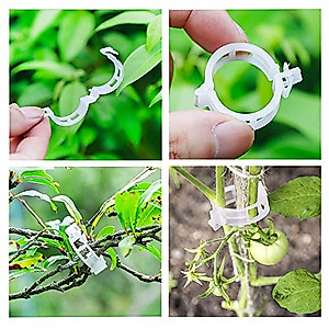 300 PCS Plant Support Garden Clips,Tomato Vine Clips,Durable Crop Clips in White for Flower Vine Twine Tomato Orchid to Grow Upright and Healthier