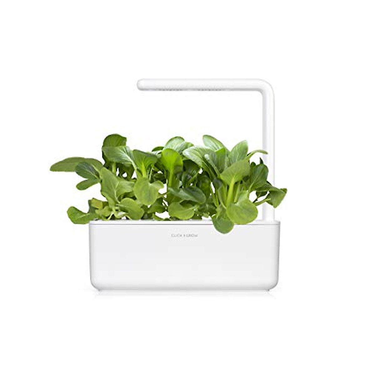 Click and Grow Smart Garden Pak Choi Plant Pods, 3-Pack