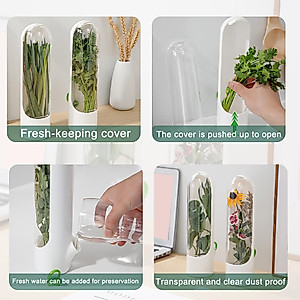 2pcs Herb Saver for Refrigerator Herb Saver Pod Asparagus Container For Fridge Cilantro Containers for Refrigerator Herb Keeper for Cilantro, Parsley(as shown)
