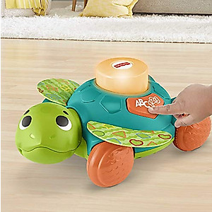 Fisher-Price Linkimals Sit-to-Crawl Sea Turtle