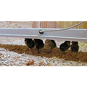 SWEETER HEATER Infrared Heater for Chicks & Pets, Flush Mount 11x40, 150 Watt