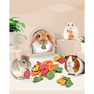 Bissap 32PCS Bunny Chew Toys, Mixed Natural Timothy Hay Pumpkin Strawberry Carrot Chinchillas Chewing Toys and Treats for Rabbit Bunny Guinea Pig Hamster Gerbil and Other Small Animals Molar Snacks