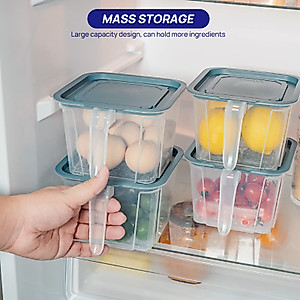 Star Ayze Berry Keeper Containers with Removable Drain Basket - Pack of 4 Fruit And Vegetable Produce Saver Container for Refrigerator Organizer Bin