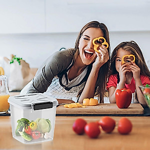 LivLab 5LBS Flour Container - Rice Dispenser 5LBS/2KG/2Qt Food Cereal Container Bins with Measuring Cup for Household Pantry Organization (5 LBS)