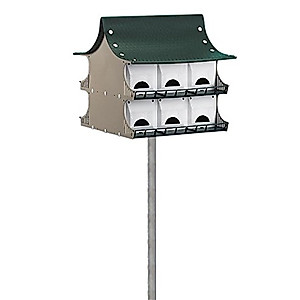 S and K Purple Martin House, 12 Room