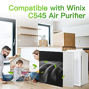 I clean Repleaement Winix C545 Filter, 2pcs HEPA Filters + 8 pcs Carbon Pre Filters Compatible with Winix C545,Replaces Winix S Filter 1712-0096-00