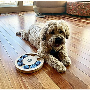 PetRageous 13005 Thinkrageous Interactive Intermediate Level Puzzle Piece Pet Toy Measures 9.84-Inch for Dogs and Cats and Ages, Blue