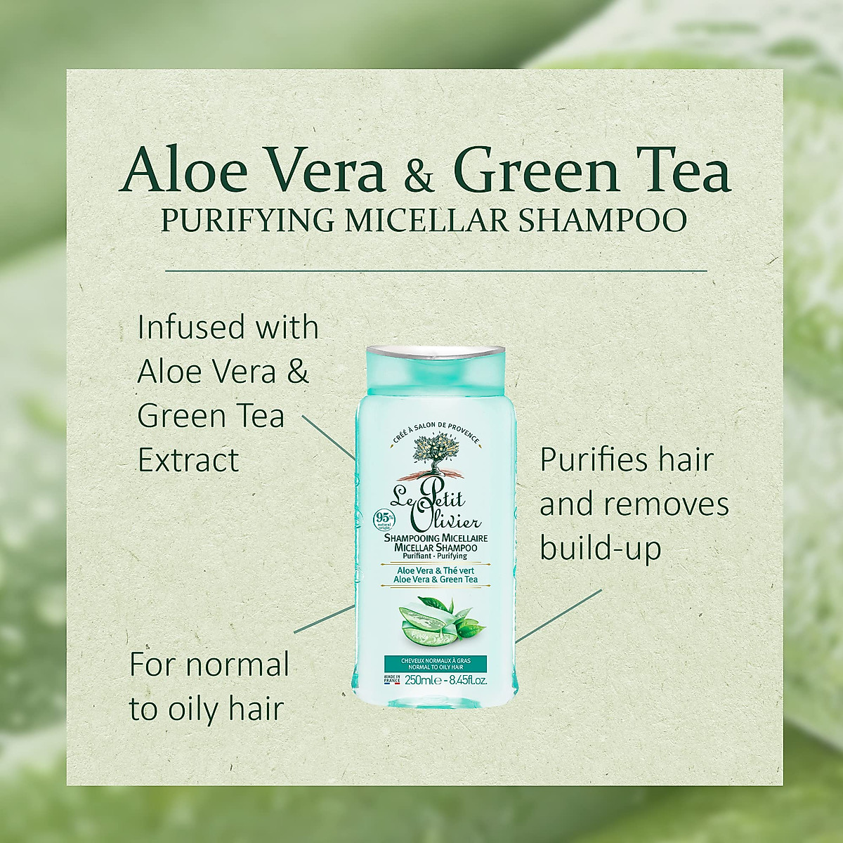 Le Petit Olivier Purifying Micellar Shampoo - Aloe Vera And Green Tea - Cleanses Hair - Reduce Excess Sebum - Suitable For Normal To Oily Hair - Free Of Silicones - 8.45 Oz