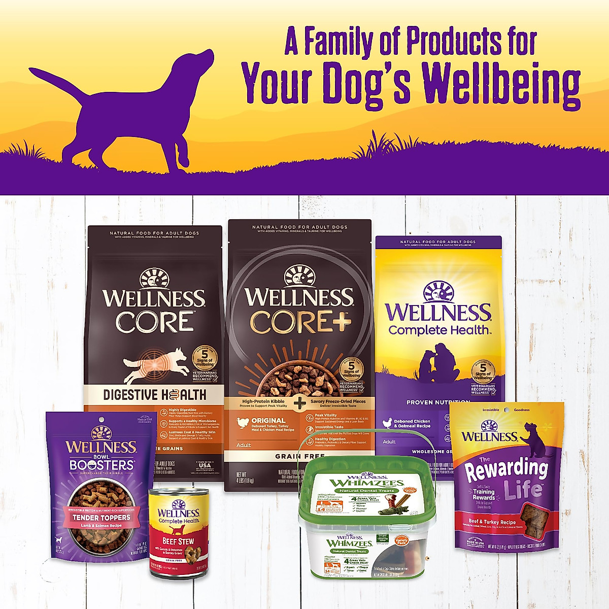 Wellness Complete Health Thick & Chunky Natural Grain Free Canned Wet Dog Food, Beef Stew, 12.5-Ounce Can (Pack of 12)