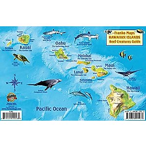 Hawaiian Islands Map & Coral Reef Creatures Guide Franko Maps Laminated Fish Card