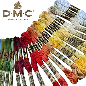 DMC Home Decor Embroidery Floss Set, Assortment Pack of 36 Cotton Thread Kit Bundle with Hand Embroidery Needle Size 3/9 and Threads of DMC Black/White.Cross Stitch String, Yarn Supplies