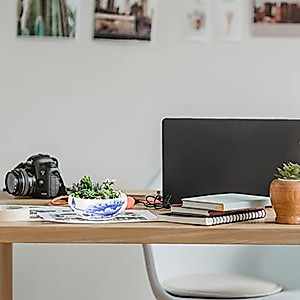 STOBOK Large Outdoor Planters Succulent Pots Ceramic Bonsai Flower Pot Large Round Planter Pot Blue White Porcelain Ceramic Shallow Flower Pot Planter Set for Indoor Outdoor Large Air Plants