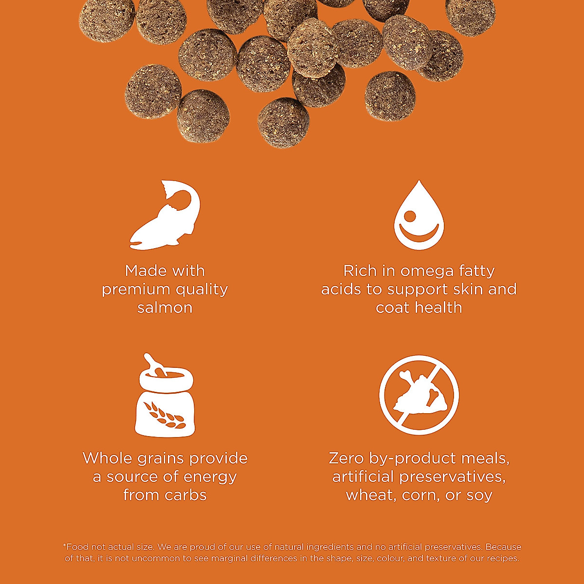 Bundle of GO! Solutions Skin + Coat Care Salmon - Dry Dog Food 12lb + GO! Solutions Skin + Coat Care Salmon - Dry Dog Food 3.5lb