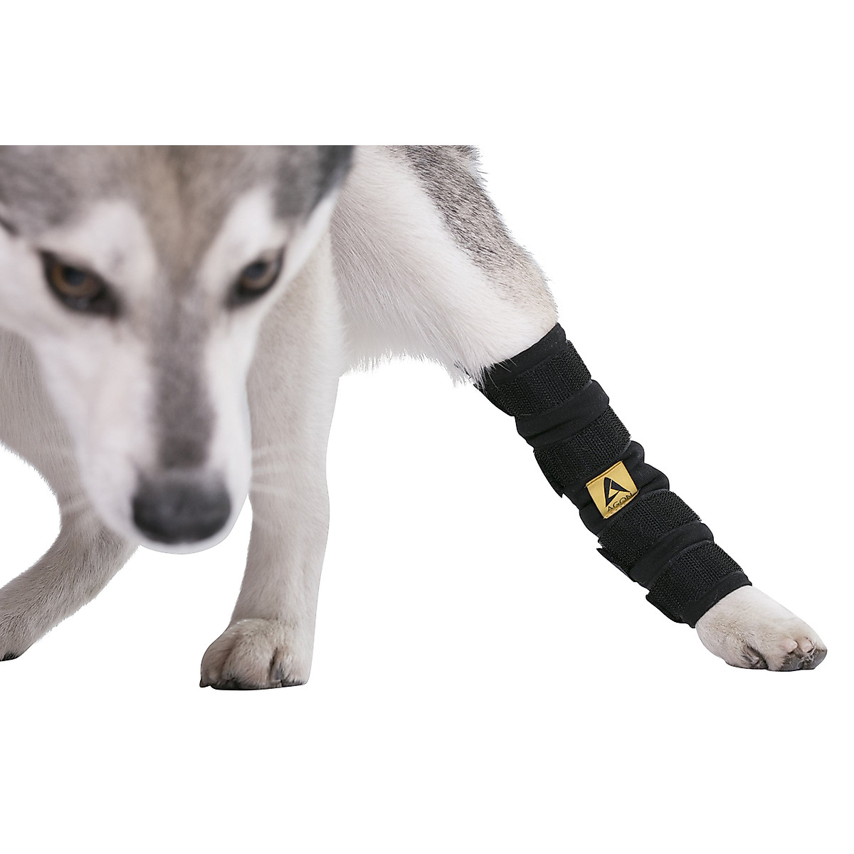 AGON® Dog Leg Braces for Back Leg wrap hock Compression Protects Wounds and Helps heal hind Legs Rear Ankle Joint, preventing Injuries, sprains Providing Stability for Dogs, Canines Arthritis (Small)