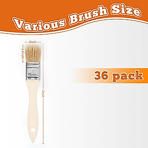 Wesquer Chip Brush 1inch Bulk 36Ea Disposable Paint Brushes Cheap Natural Bristle Paint Brushes for Glue, Varnish,Wood Stain,Furniture Paint Brush,Painting Walls
