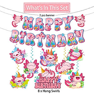 18PC Birthday Decorations Banner Hanging Swirls,Cute Party Decorations,Happy Birthday Banner for Boys Girls,Baby Shower Party Supplies Outdoor Indoor