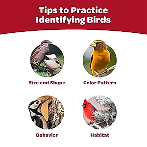 Kaytee Wild Bird Seed & Mealworm Seed Cake Food For Bluebirds, Chickadees, Woodpeckers and More, 1.4 Pound