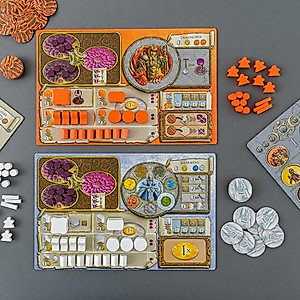 Capstone Games: Terra Mystica Fire & Ice, Expansion, Strategy Board Game, Terra Mystica Core Game Required to Play, 6 New Factions Introduced, Ages 14 and Up