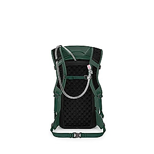 Osprey Skarab 22L Men's Hiking Backpack with Hydraulics Reservoir, Tundra Green