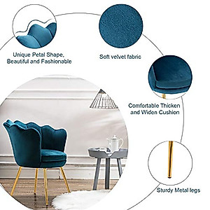 Wahson Velvet Upholstered Living Room Chair, Comfy Accent Seashell Chair Barrel Vanity Chair with Back & Gold Legs, Retro Leisure Accent Barrel Dining Chair, Fog Blue