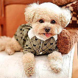Toysructin Dog Girl Dresses Clothes with Sleeves, Lace Lapel Pet Princess Dress Bowknot Puppy Clothes for Spring Autumn, Comfortable Breathable Dog Shirt Skirt Apparel for Small Medium Large Cats Dogs