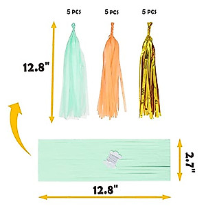 Birthday Party Decorations for Girls Women Her with Happy Birthday Banner,Honeycomb ball,Circle Dots Garland,Hanging Swirls Paper Pompoms,Paper Tassels Garland for Mint Green Gold Peach Birthday Decor