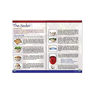 30 Minute Seder: The Haggadah That Blends Brevity With Tradition