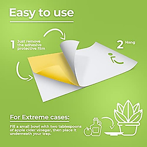 Fruit Fly Trap (20 Pack), Double-Sided Yellow Sticky Traps (Indoor & Outdoor), Fruit Fly Traps for Kitchen & Plants, Fruit Fly Killer - Sticky Gnat Trap Indoor Solution, Fungus Gnat Traps