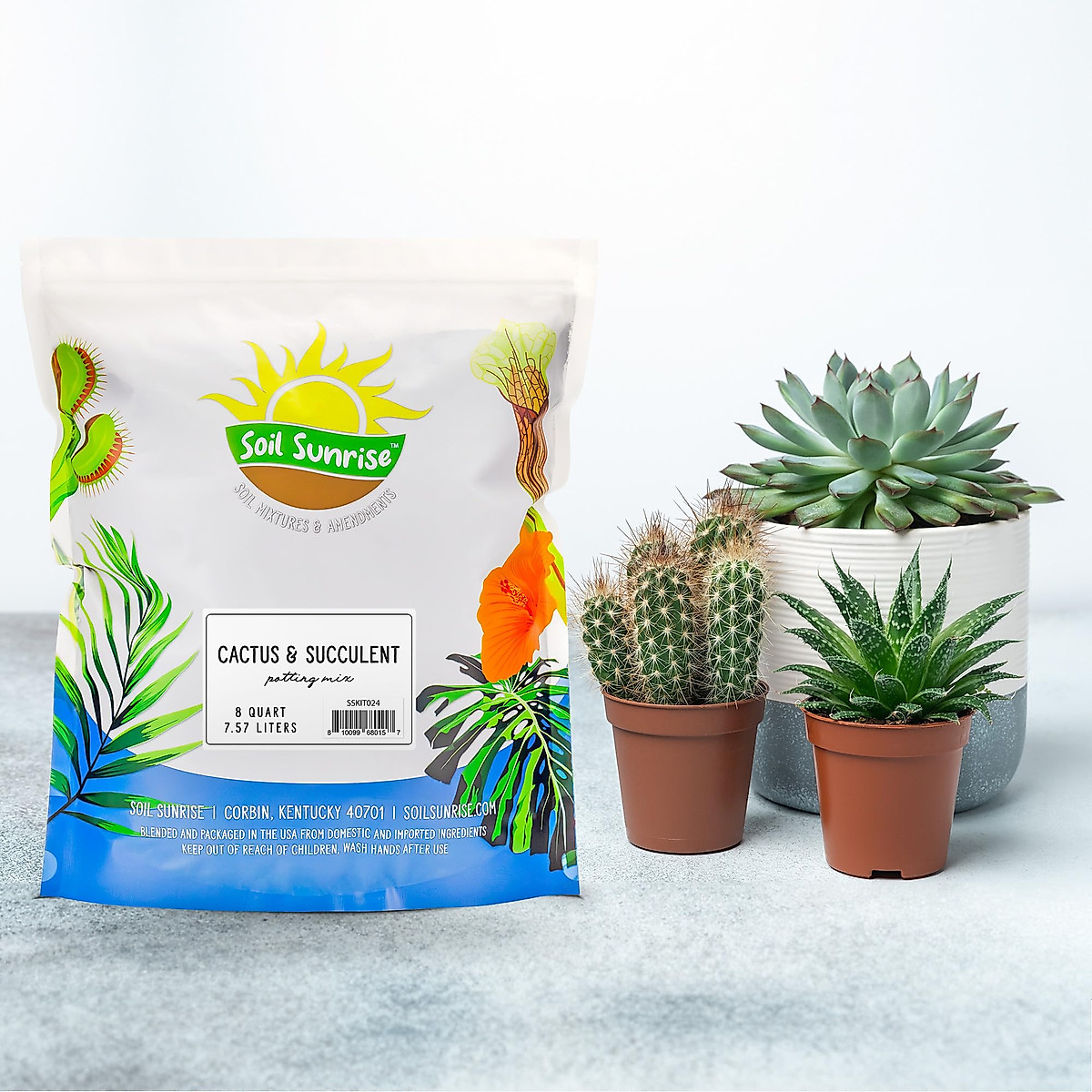 Cactus and Succulent Potting Mix (8 Quarts), Special Blend-Fast Draining and Desert-Style Gritty