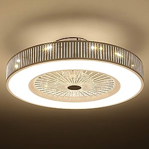 YIYIBYUS 23.5-Inch Modern Fan Chandelier LED 3 Colors 3 Speed with Remote Control Ceiling Fan Ceiling Light Mute Suitable for Living Room, Bedroom, Dining Room (white and black) (21.65 Inch White)