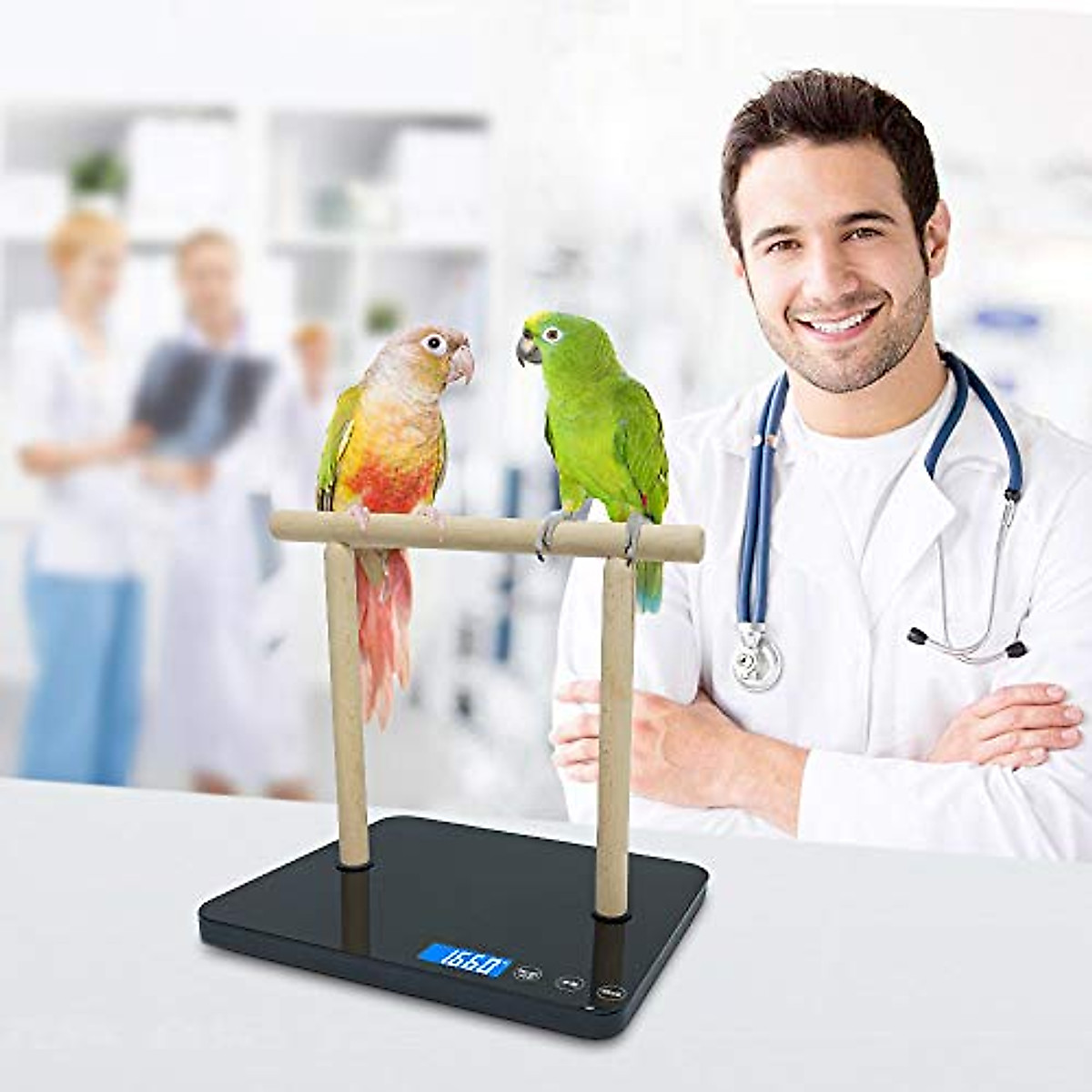 Digital Pet Bird Scale, Parrot Training Weight Scale with Perch, 0.05 Ounce Accuracy,70 Ounce Capacity, Easy Clean Black Glass Platform Suitable for Parrot and Macaws