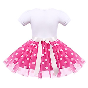 IMEKIS Mouse 2nd 3rd Birthday Outfit Baby Girls Dress Polka Dots Mini Tutu Headband Two Three Years Old Cake Smash Photo Shoot Toddler Mouse Themed Birthday Party Supplies Hot Pink Bowknot 2-3T