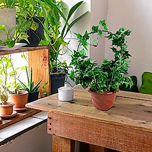 2 Pack Black Iron Garden Trellis for Climbing Plants- 13" Rust Free Vine Plant Metal Support Wire with Black Coating Decorative Potted Plants Climbing Holder Rack for Garden Stem Stalks Vines (Round)