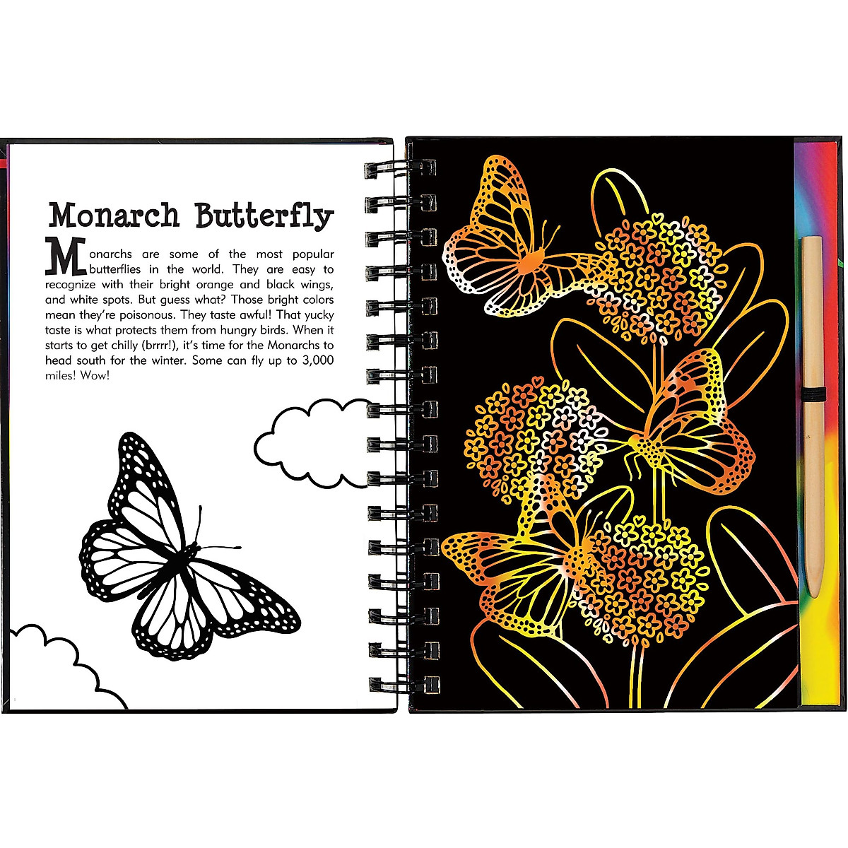 Scratch & Sketch Butterflies & Friends (Trace Along)