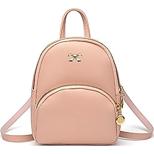 American Shield Cute Casual Daypack Backpacks Fashion Small Girl Women Man Mini Lightweight Purse Classical Basic Travel Water Resistant Bag for Work Event (Pink4)