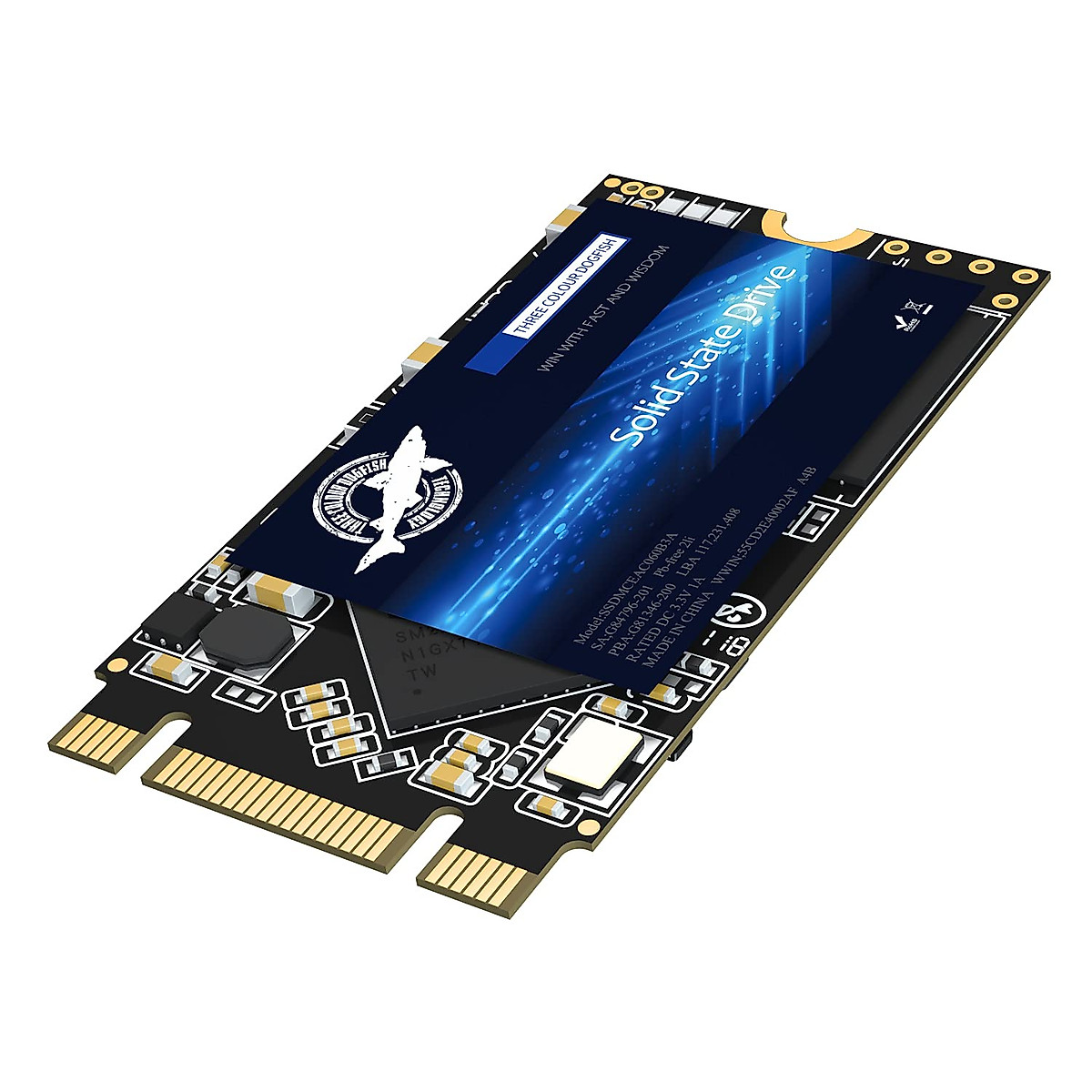 SSD 1 TB m.2 2242 Dogfish S?ido Height PC Unit?a Stato Solido Integrata Interno MLC Desktop Laptop Hard Drive Disk m2(1TB M.2 2242)